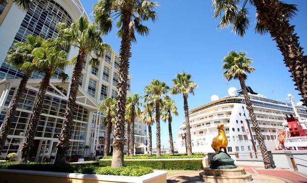 Os 21 Motivos para Ficar no The Table Bay | Kangaroo