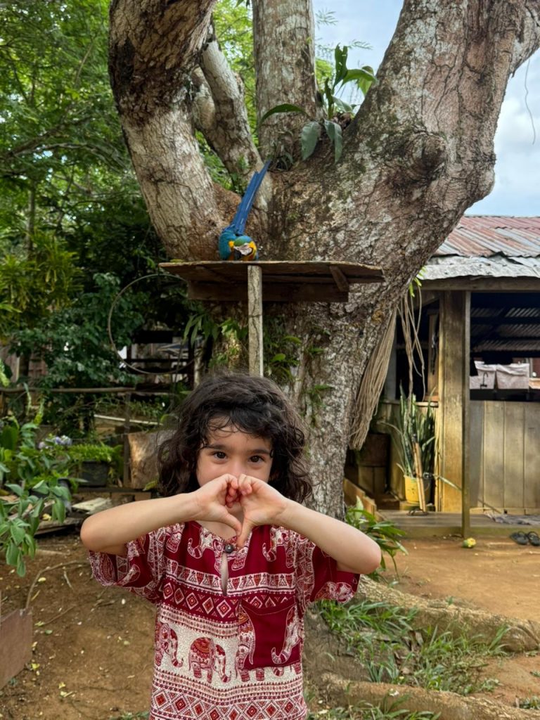 Viagem em família na Amazônia: Anavilhanas Lodge | Blog Kangaroo