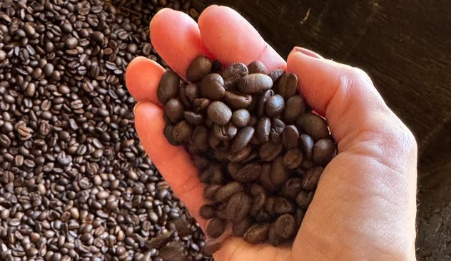 Do grão à xícara: uma imersão no mundo do café de Costa Rica! – Blog ...